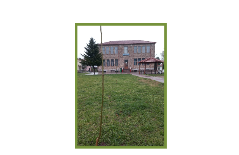 ΕΥΧΑΡΙΣΤΗΡΙΟ ΔΗΜΟΤΙΚΟΥ ΣΧΟΛΕΙΟΥ ΑΨΑΛΟΥ - Edessa News